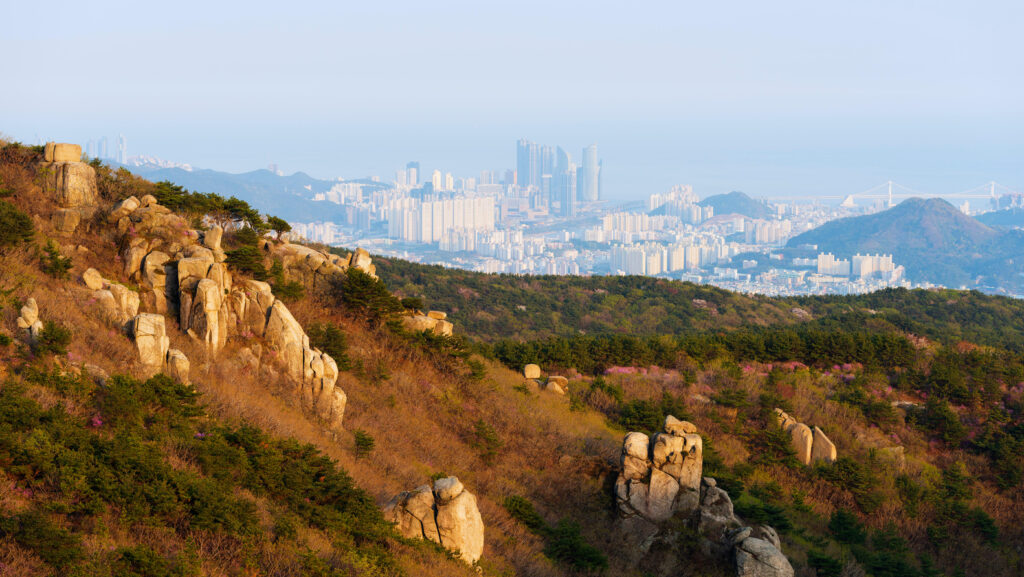 The Top 10 Things to Do and See in Busan