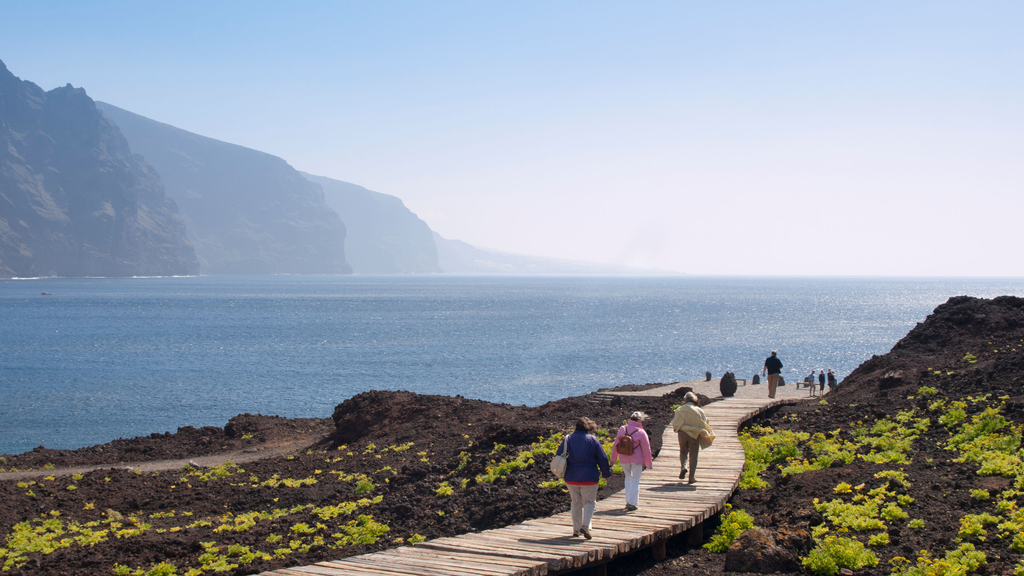 The Top 10 Things to See and Do in Tenerife