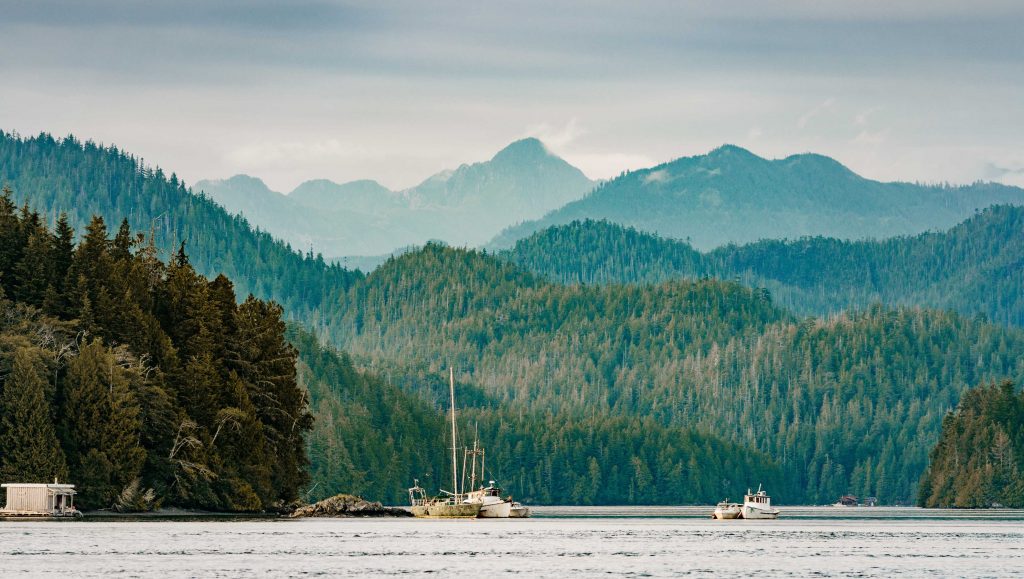 The Best Places to Book Your Stay on Vancouver Island
