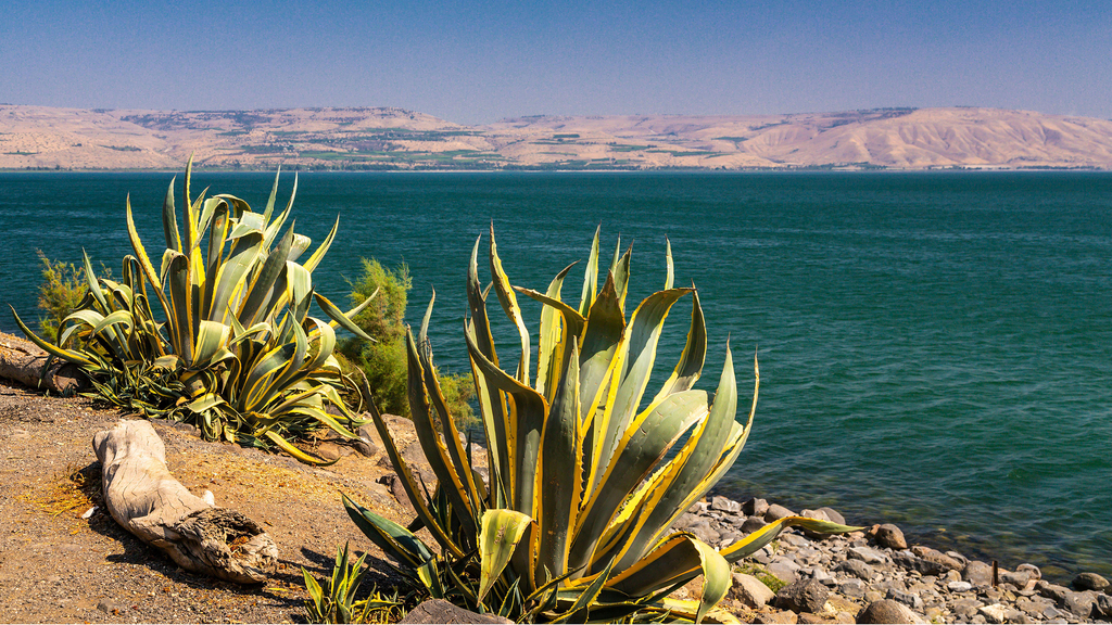 The Most Beautiful Places to Visit in Israel | Culture Trip