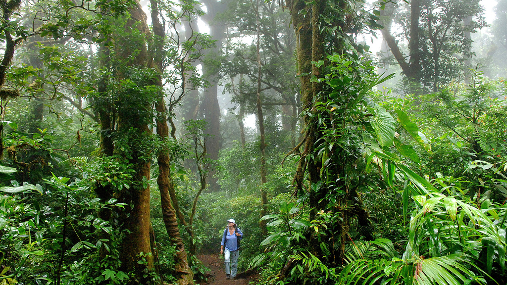 The Secret of Costa Rica’s Hidden Cloud Forests