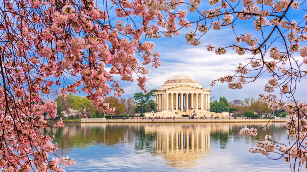 Must-See Attractions in Washington DC