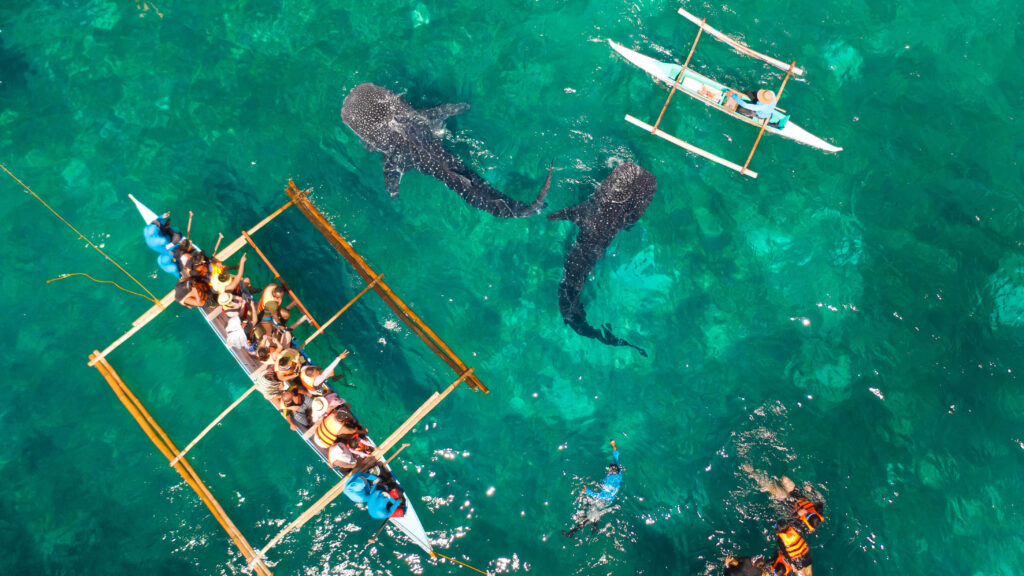 Top Things to See and Do in Cebu, Philippines