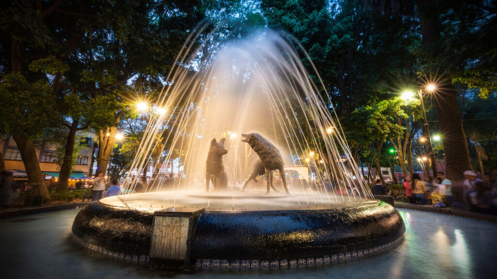 The Top Things to See and Do in Coyoacán, Mexico City