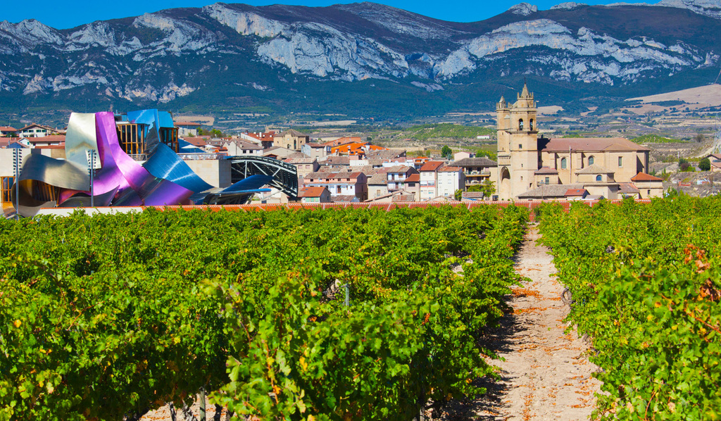 Reasons Why You Should Visit La Rioja, Spain