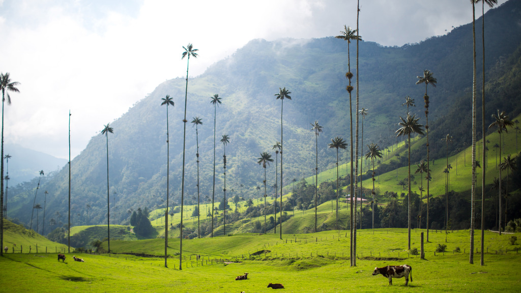 Must-Visit Attractions in Colombia
