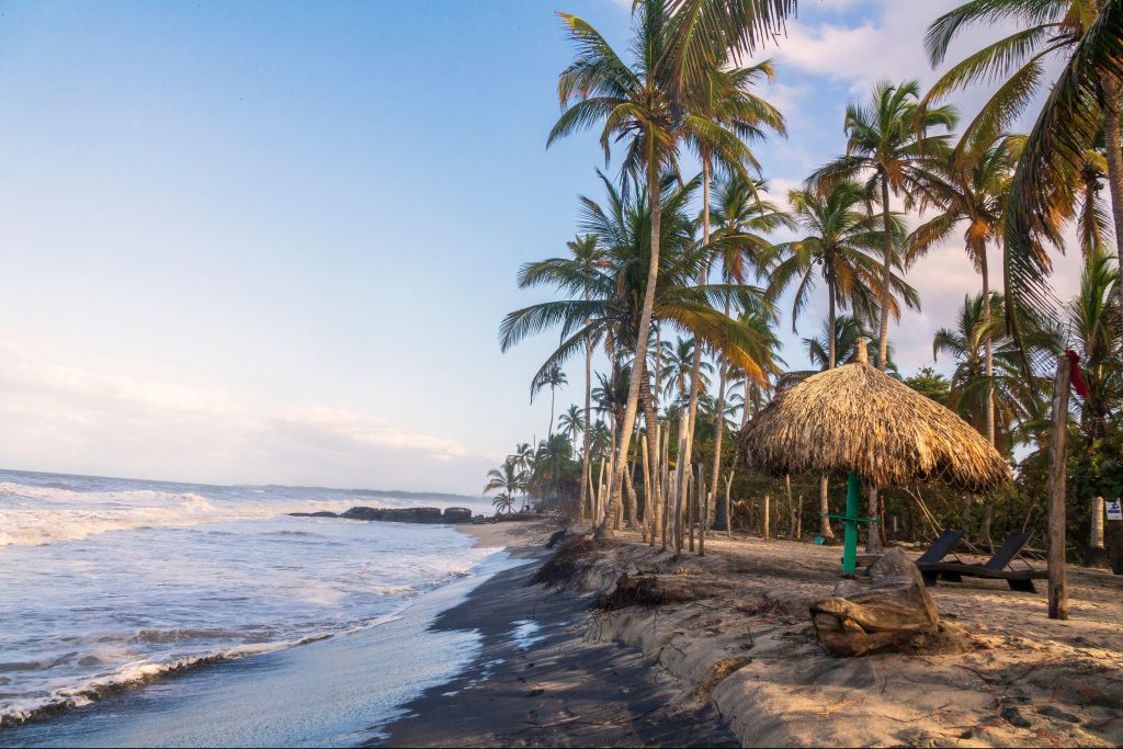 Reasons Why You Should Visit Palomino at Least Once in Your Lifetime