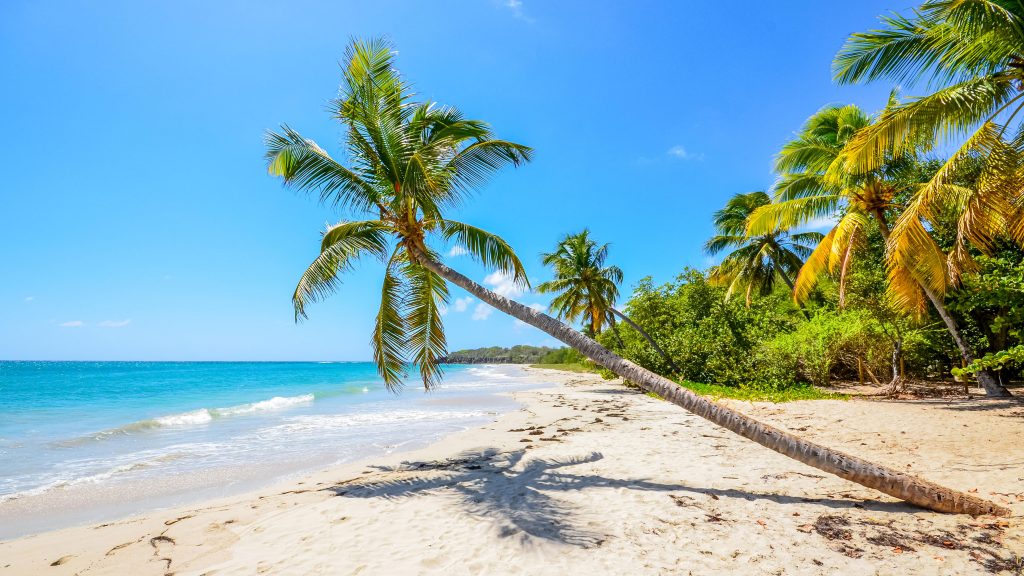 The Most Beautiful Beaches to Visit in Martinique