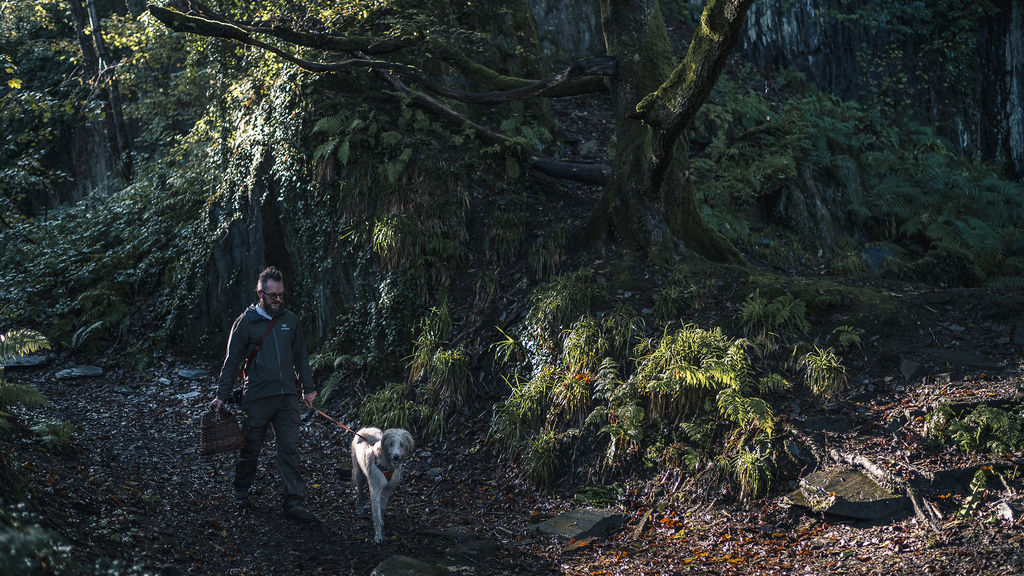 The Top Things to Do and See in Stokes Croft... | Culture Trip